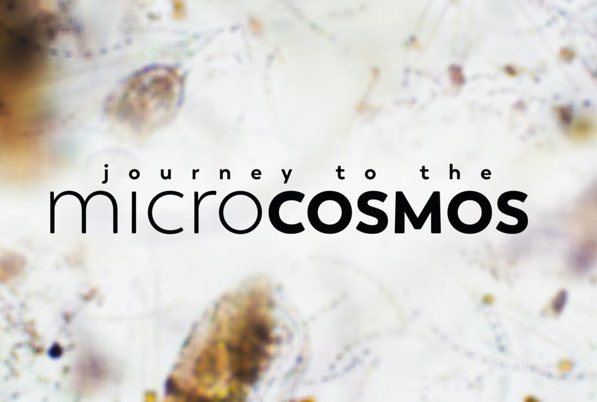 on journey to the microcosmos
